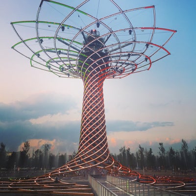 Albero della Vita - Lake Arena