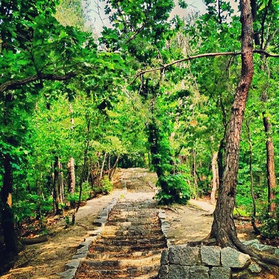 Mount Suraksan - Scenic Lookout in 노원구