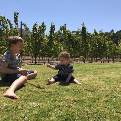 Warwick Wine Estate - 41 tips from 705 visitors