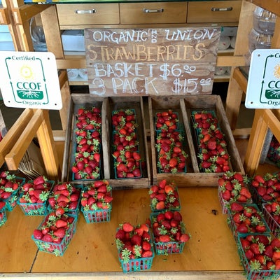 Swanton Berry Farm - Davenport, CA
