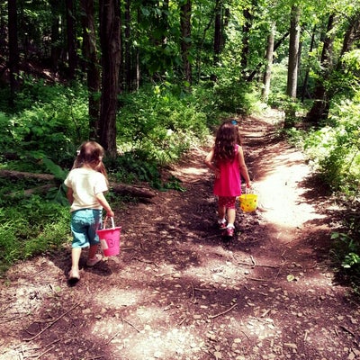Watchung Reservation - Park