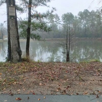 Meyer Park - Spring, TX