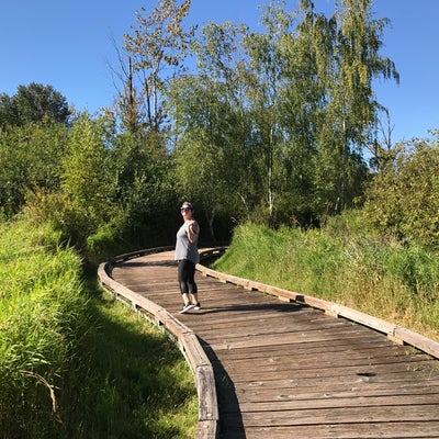 Mercer Slough Nature Park - West Bellevue - 10 tips from 625 visitors