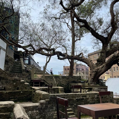 The Rocks - 54 tips from 9688 visitors