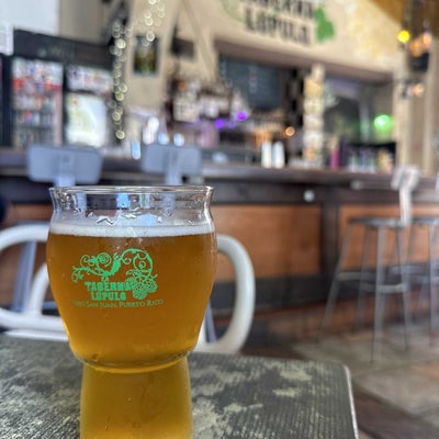 La Taberna Lúpulo - 107 tips