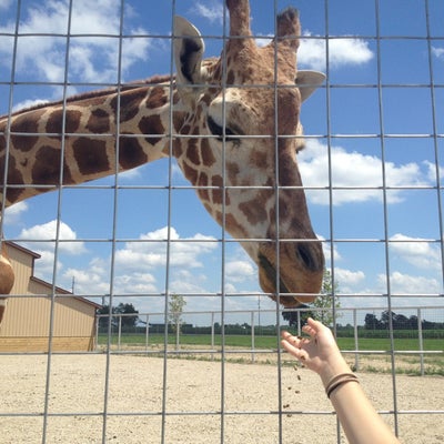 Boulder Ridge Wild Animal Park - Zoo