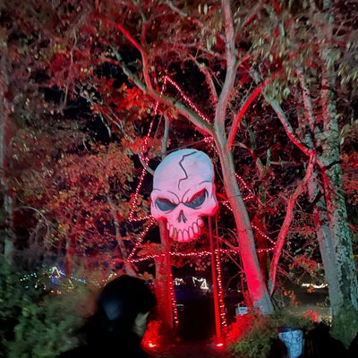 Markoff's Haunted Forest - Dickerson, MD