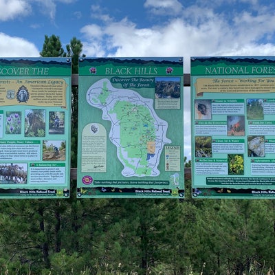 Black Hills National Forest - Rockerville, SD
