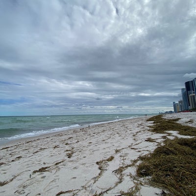 Trump International Beach Resort - Resort in Sunny Isles Beach