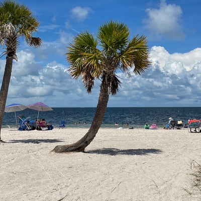 Fred Howard Park Beach - Beach