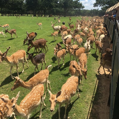 Global Wildlife Center - 16 tips from 604 visitors