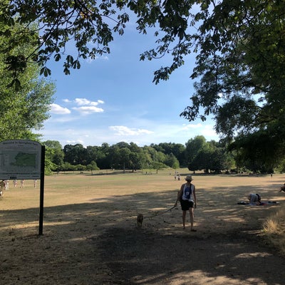 Springfield Park - Springfield - Springfield