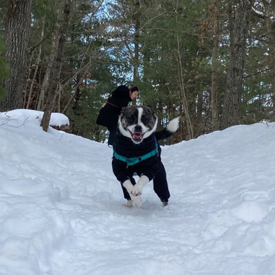 Breakheart Reservation - Park