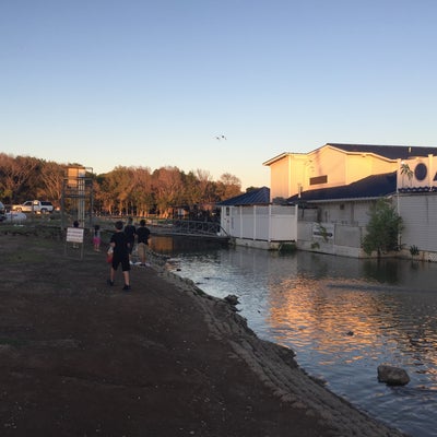 The Oasis at Joe Pool Lake - Grand Prairie, TX