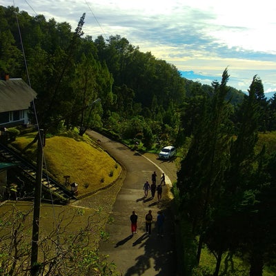 Puncak Pass Resort - 63 tips