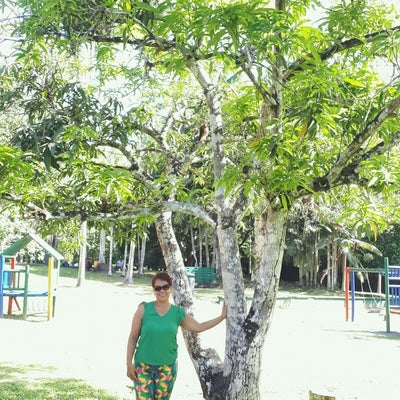 Parque Municipal Summit - 13 tips from 393 visitors