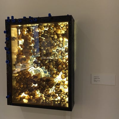 Cedar Rapids Museum of Art - 7 tips from 260 visitors