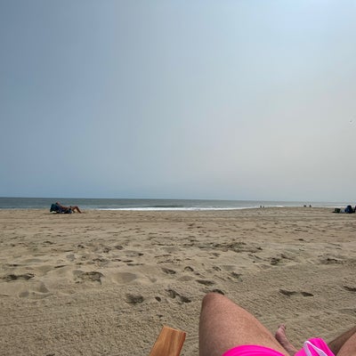 Poodle Beach - Rehoboth Beach, DE