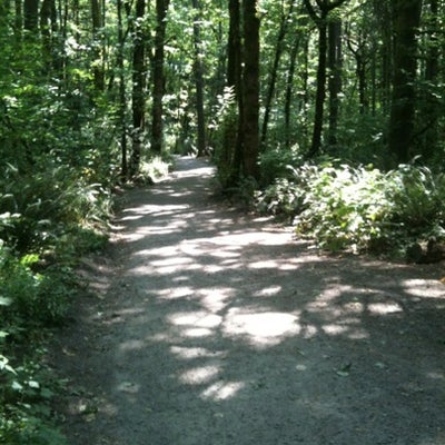 Tryon Creek State Park - State / Provincial Park in Portland