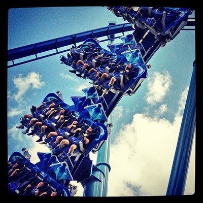 Manta - Sea World Theme Park - 118 tips