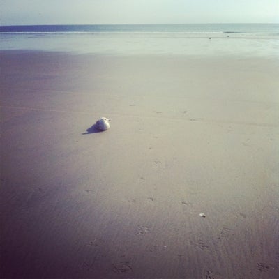 Nantasket Beach - 48 tips