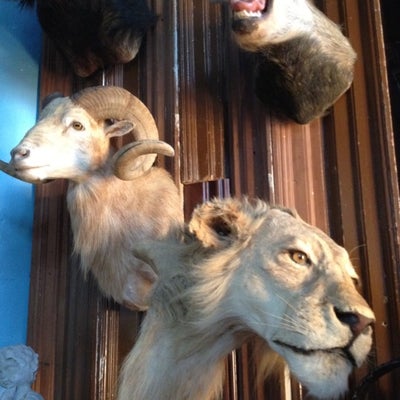 ACME Studio - Arts & Entertainment in Brooklyn