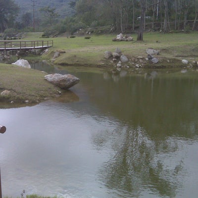 Jardín Botánico de Mérida - Botanical Garden in Mérida