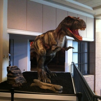 Pink Palace Museum and Planetarium - 46 tips from 1709 visitors