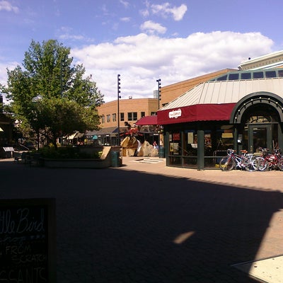 The Little Bird Bake Shop - Downtown Fort Collins - 21 tips