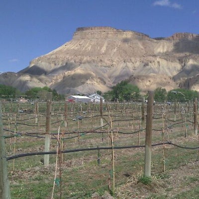 Garfield Estates Vineyard & Winery - 3 tips from 174 visitors