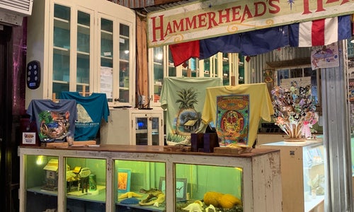Hammerhead Fred's Panama City Beach - The Menu Mag