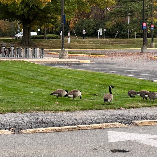 Ballenger Creek Park - 5420 Ballenger Creek Pike - Ballenger Creek