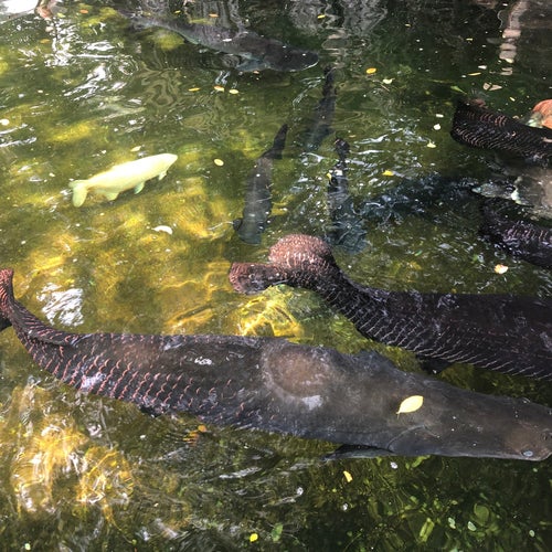 Dempsey Hill - , Singapore - Singapore