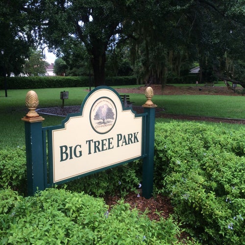 Big Tree Park - 930 N Thornton Avenue - Orlando