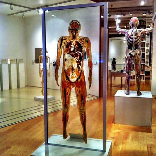 Wellcome Collection - 183 Euston Rd - London