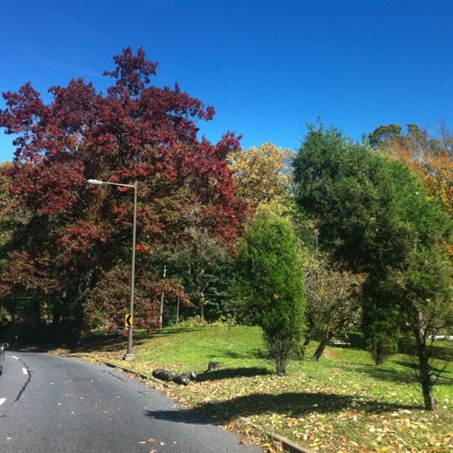 Lincoln Drive - Lincoln Dr - Philadelphia