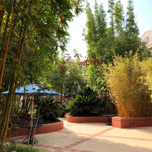 UCLA Courtside (Sunset Village) - 200 DE Neve Dr - Los Angeles