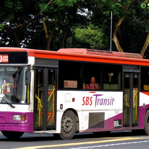 SBS Transit: Bus 170 - , Singapore - Singapore