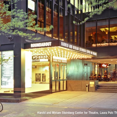 Laura Pels Theatre at the Harold & Miriam Steinberg Center for Theatre ...