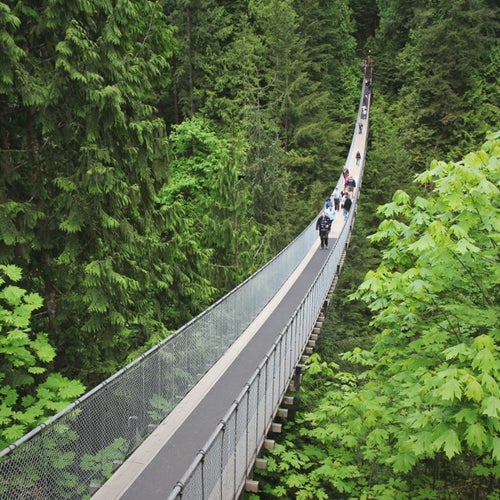 Capilano Suspension Bridge - 3735 Capilano Road - Vancouver