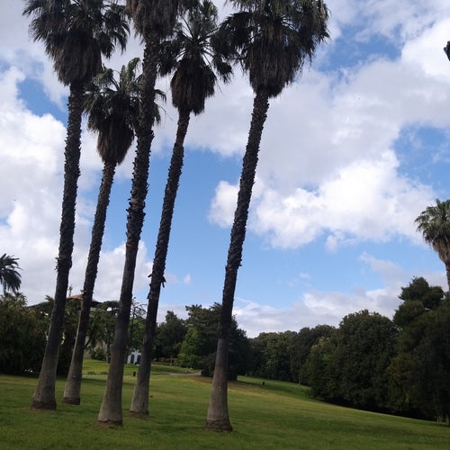 Parco di Capodimonte - Via Miano, 4 - Napoli