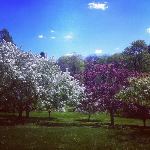 Morris Arboretum - 100 E Northwestern Ave - Philadelphia