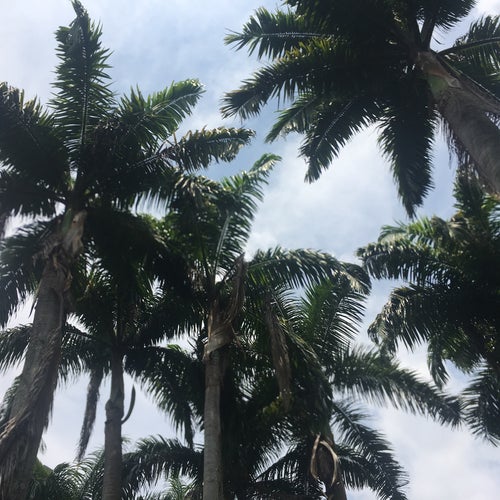 RHB Bangi Complex - No. 8, Persiaran Institusi, Kawasan Institusi ...