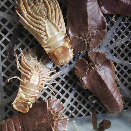 Cita Rasa Seafood Restaurant - Jembatan 4 Barelang