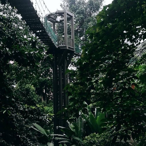 Taman Eko Rimba KL (KL Forest Eco Park) - Lot 240 - Kuala Lumpur