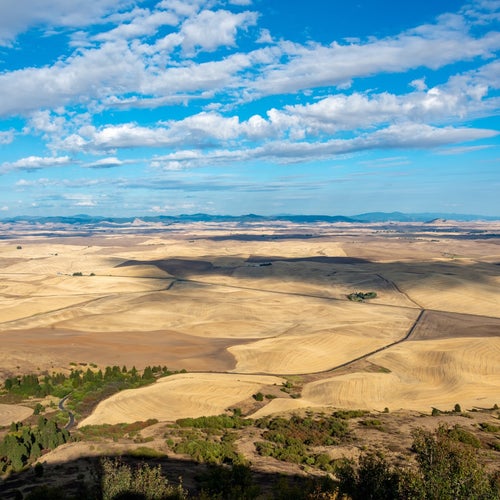 Steptoe Butte State Park - Milepost 7.2 Hume Road - Colfax