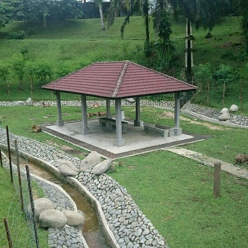 Taman Rusa & Kancil (KL Deer Park) - Jalan Perdana - Kuala Lumpur
