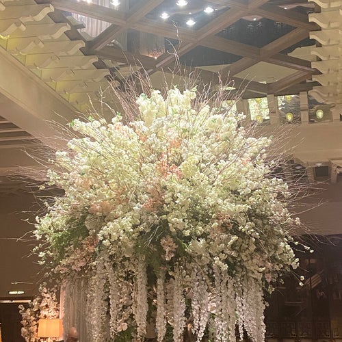 Palm Court at The Drake Hotel - 140 E Walton Pl - Chicago