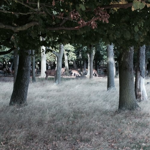 Kingston Gate - Queen's Rd - Kingston