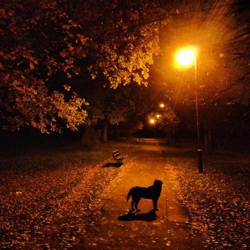 Tooting Bec Common - Tooting Bec Rd - London